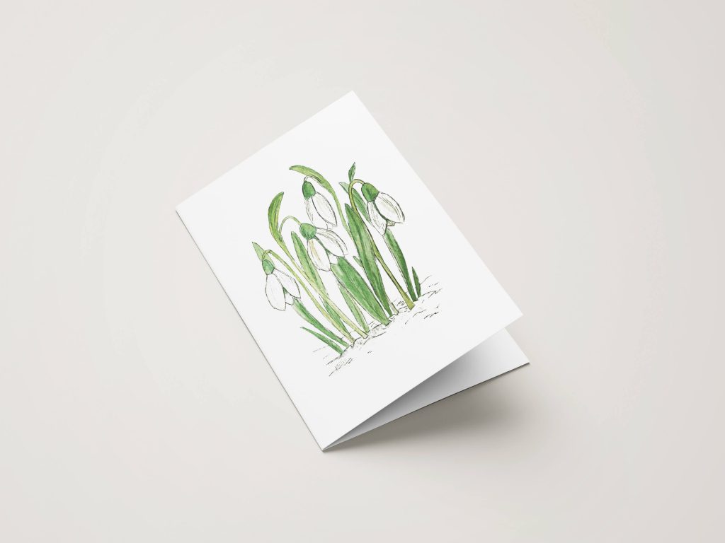 Illustrated Cards - Snowdrops - Waterford Hospice